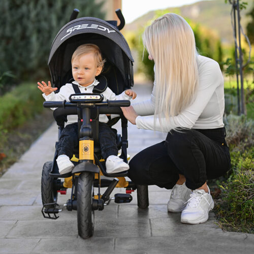 Tricycle lorelli store